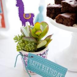 Alpacas / Birthday "Lily's Artistic Alpaca Birthday" | Catch My Party