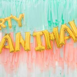 Pastel Wild One aka Party Animals Theme / Birthday "Kai's First "Wild ...