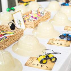 Pastel Wild One aka Party Animals Theme / Birthday "Kai's First "Wild ...