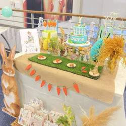 Peter Rabbit / Birthday "Peter Rabbit party " | Catch My Party