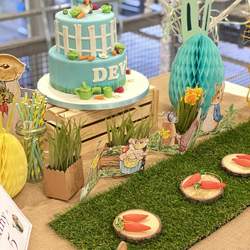 Peter Rabbit / Birthday "Peter Rabbit party " | Catch My Party