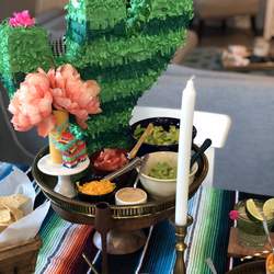 Fiesta / Mexican / Cinco De Mayo "Cinco De Mayo Fiesta" | Catch My Party