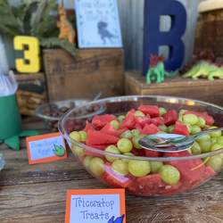 Dinosaur / Birthday "Barrett’s Three-Rex Party! " | Catch My Party