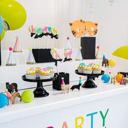 Animals / Birthday "Party Like an Animal" | Catch My Party