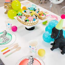 Animals / Birthday "Party Like an Animal" | Catch My Party
