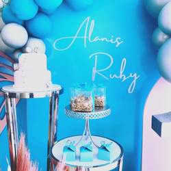 Butterfly / Quinceañera "Los Quince de Alanis Ruby" | Catch My Party