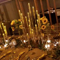 Juke Joint / Birthday "Jazzie's Rustic Juke Joint" | Catch My Party