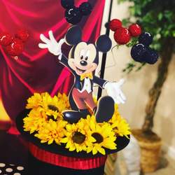 Mickey’s Circus / Birthday "Mickey and Minnie mouse" | Catch My Party