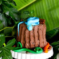 Snake/Reptile Party / Birthday "WILLIAM’S JUNGLE SNAKE PARTY" | Catch ...