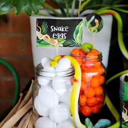 Snake/Reptile Party / Birthday "WILLIAM’S JUNGLE SNAKE PARTY" | Catch ...