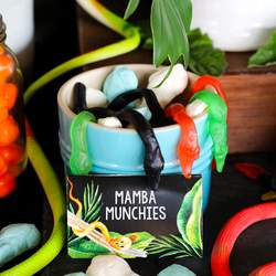 Snake/Reptile Party / Birthday "WILLIAM’S JUNGLE SNAKE PARTY" | Catch ...