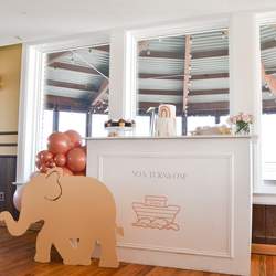 Noah's Ark / Birthday "Noa's Ark Themed First Birthday" | Catch My Party