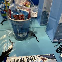 Sharks / Birthday "Mikayla’s Jawsome Shark Party" | Catch My Party