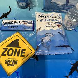 Sharks / Birthday "Mikayla’s Jawsome Shark Party" | Catch My Party